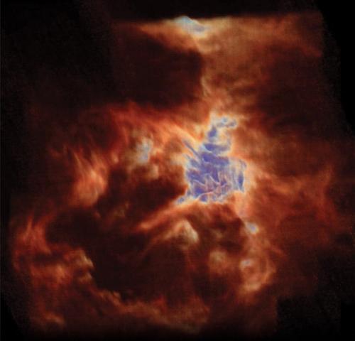 Dragon Nebula