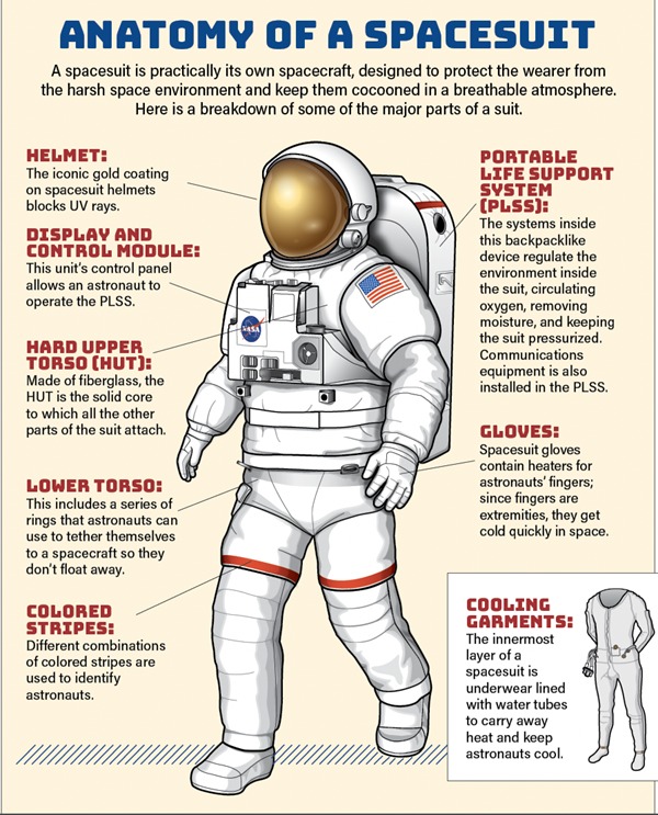 Space Suit Diagram Layers