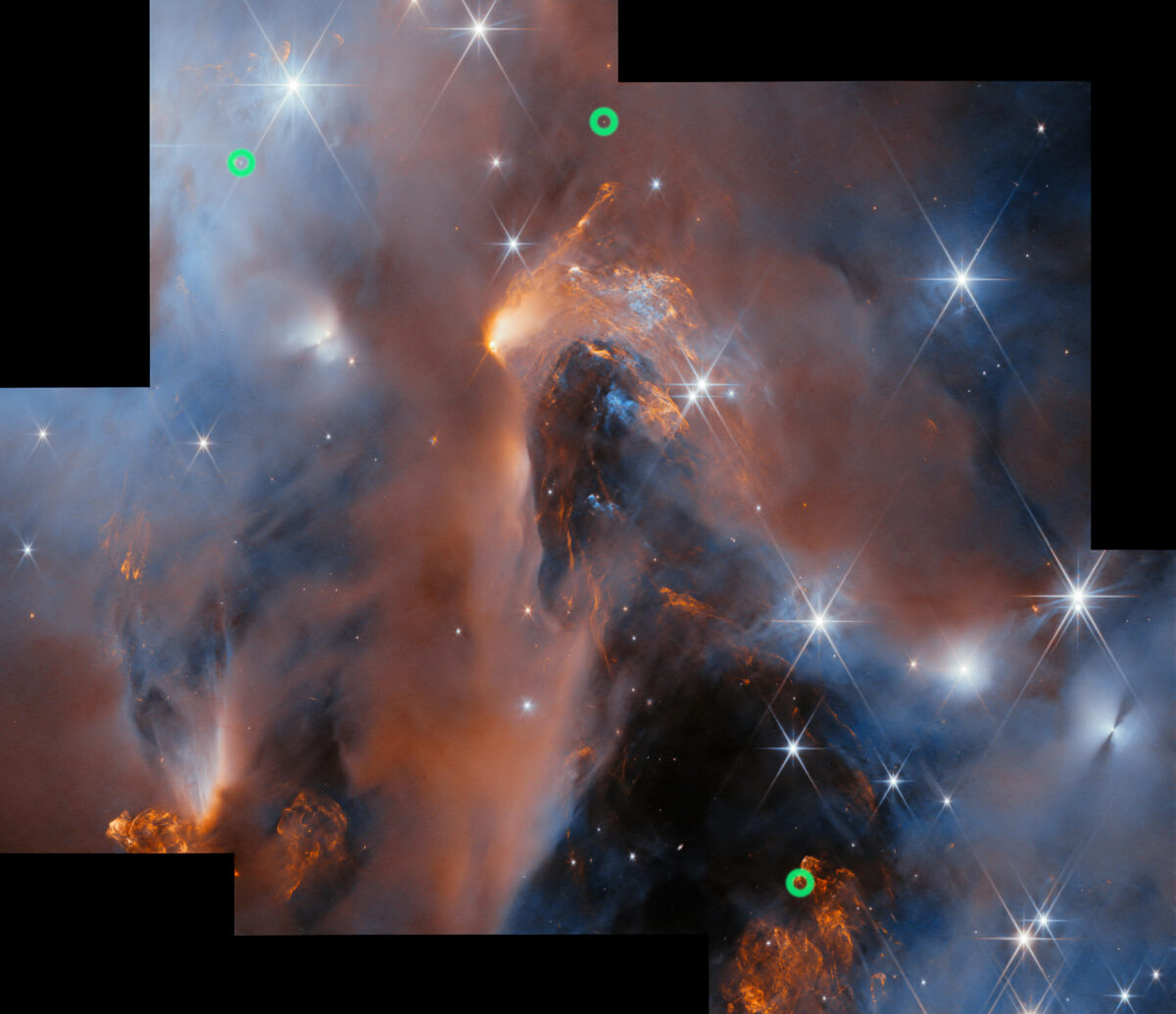 Rogue worlds may give clues as to how stars form