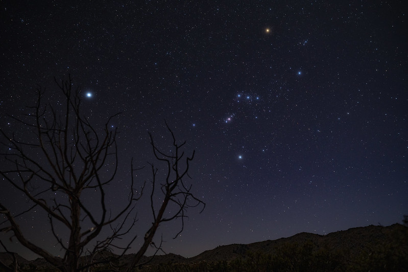 Five almost-famous stars worth gazing at | Astronomy.com