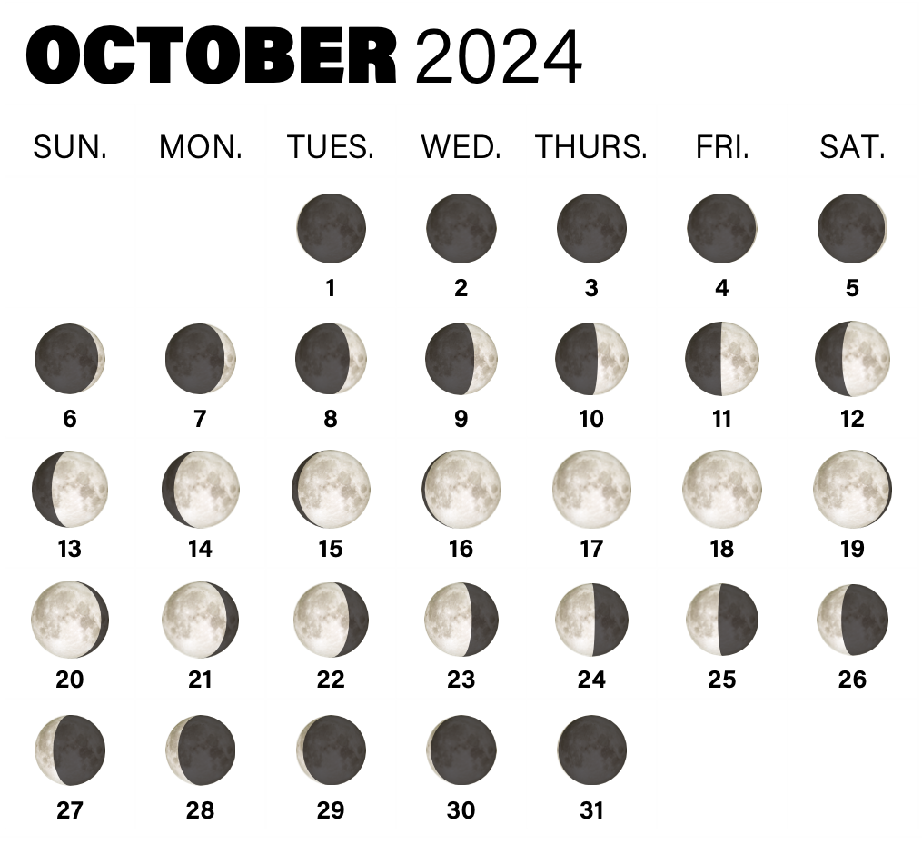 Moon Phases October 2024