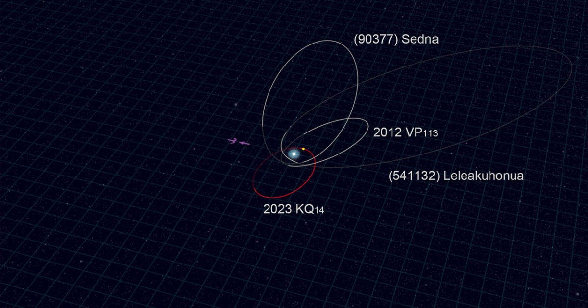 New Sednoid “Ammonite” discovery deepens Planet Nine mystery