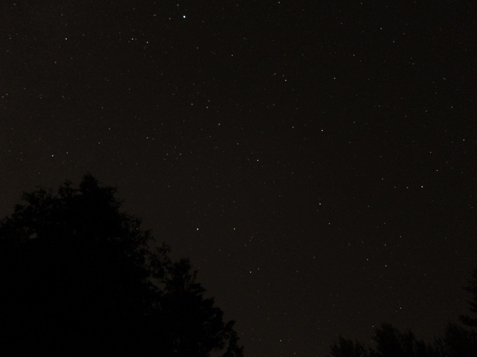 Comet Wierzchoś in Corona Borealis