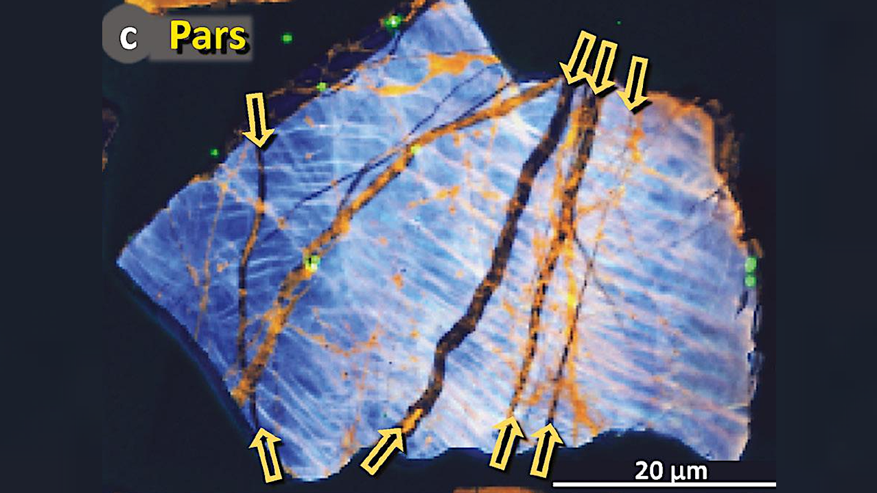 Did a comet wipe out an ancient civilization?